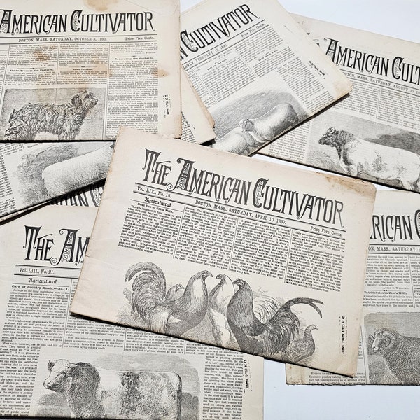 Antique Newspaper - Etsy