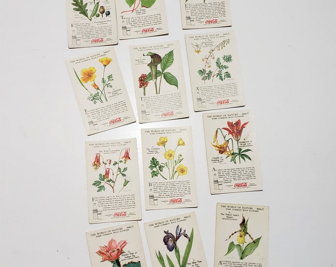1930s Vintage Coca-cola Nature Study Cards: Series IV Some Common Wild Flowers - Etsy