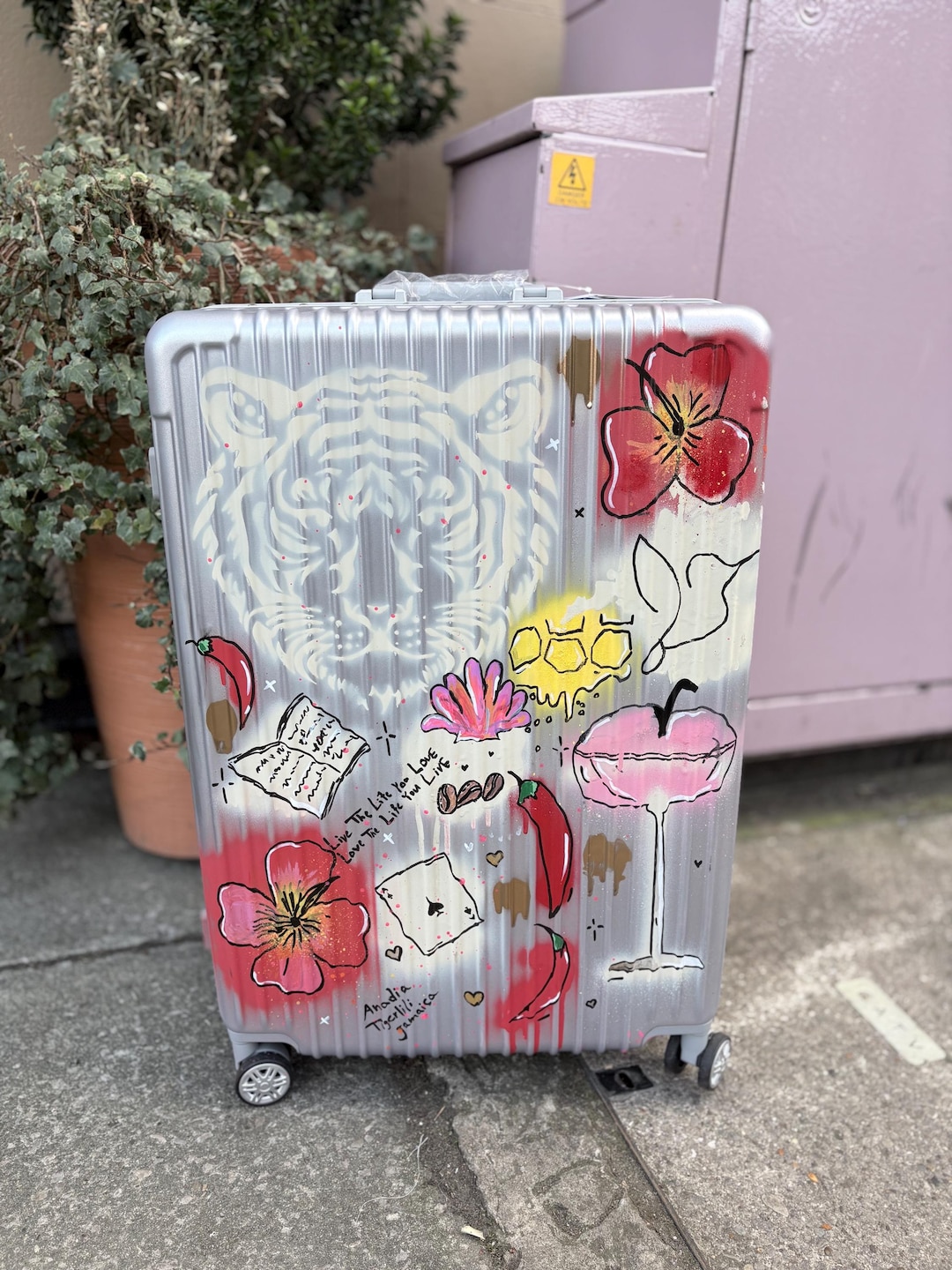 Custom Cabin Suitcase: Personalised Travel Luggage - Etsy
