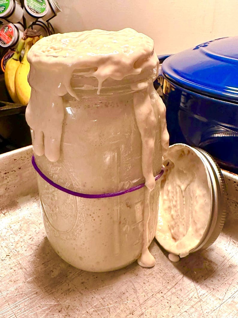Live 200+ Year Old French Sourdough Starter *ORGANIC* - Etsy