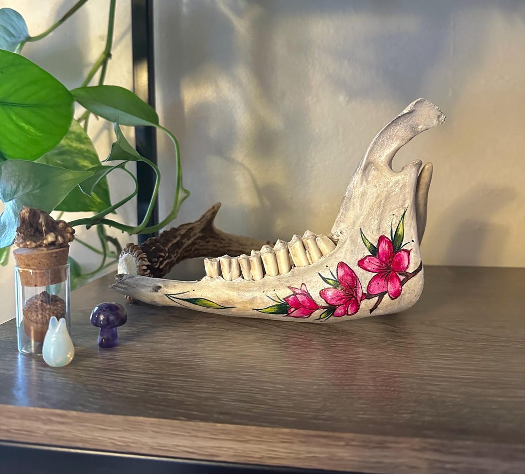 Hand Painted Deer Jawbone, Flower Design, Wall Art, Window Display ...