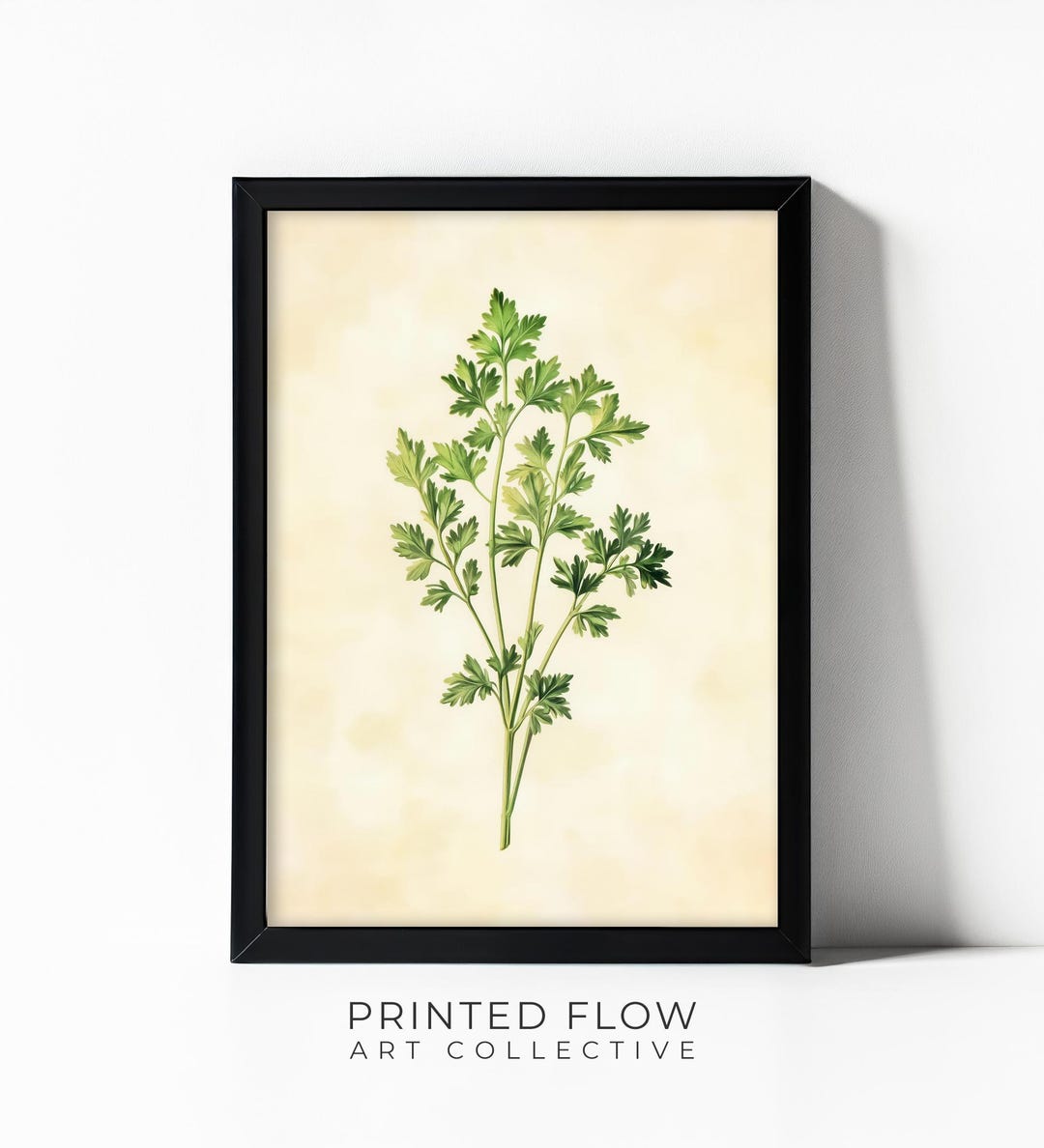 Parsley Printable Wall Art – Modern Kitchen Herb Illustration ...