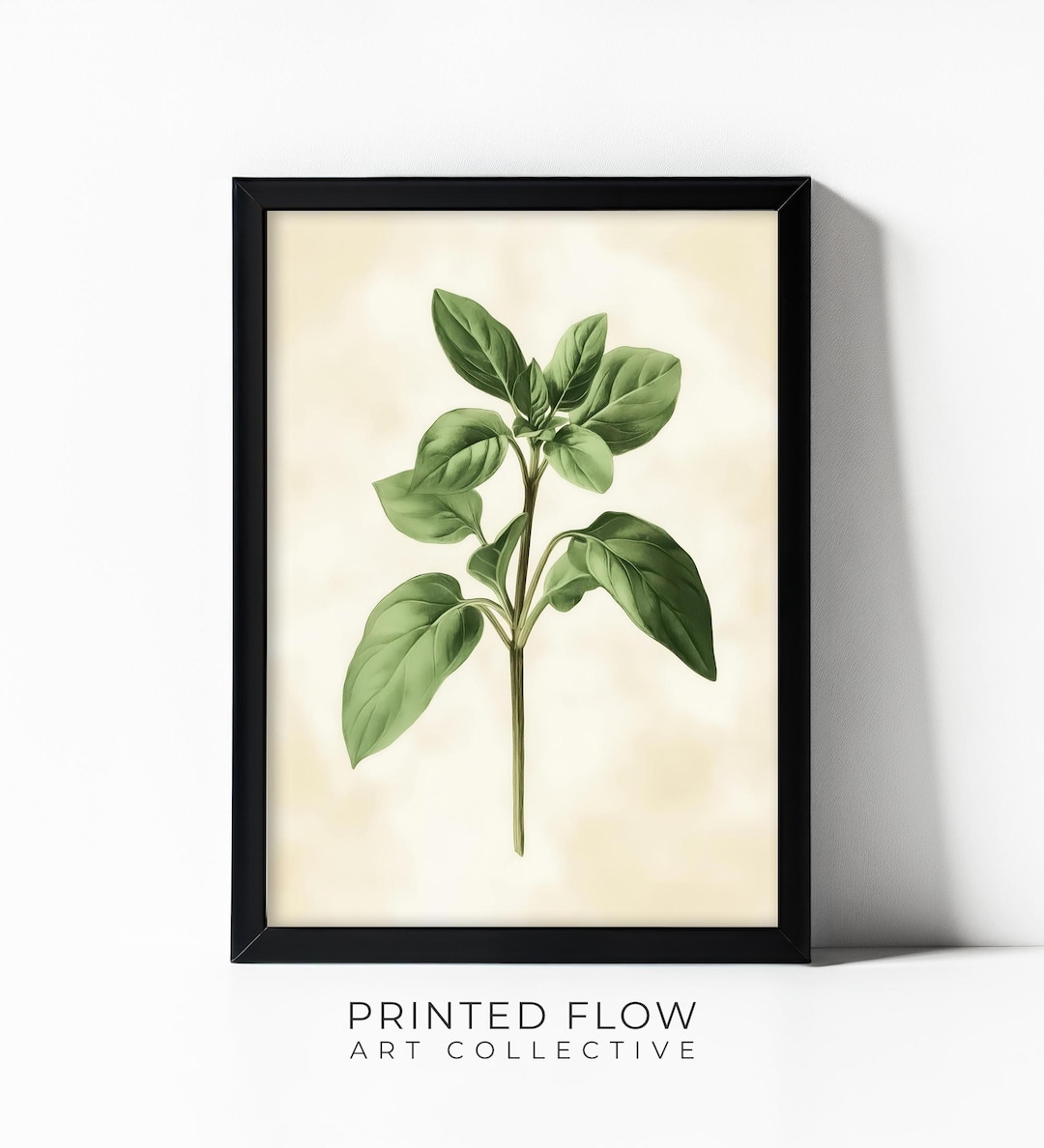 Oregano Printable Wall Art – Modern Kitchen Herb Illustration ...