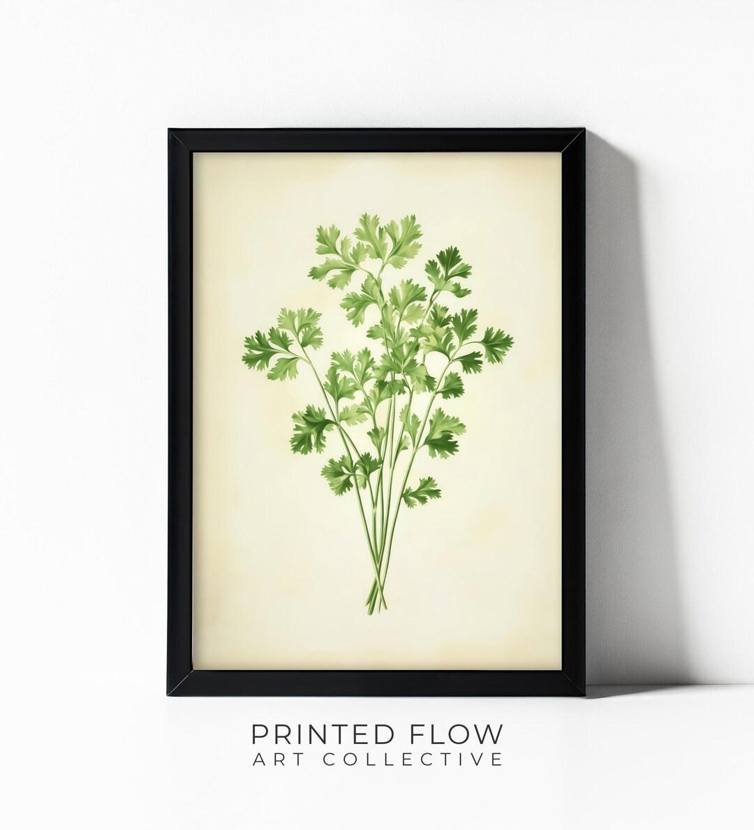 Cilantro Printable Wall Art – Modern Kitchen Herb Illustration ...