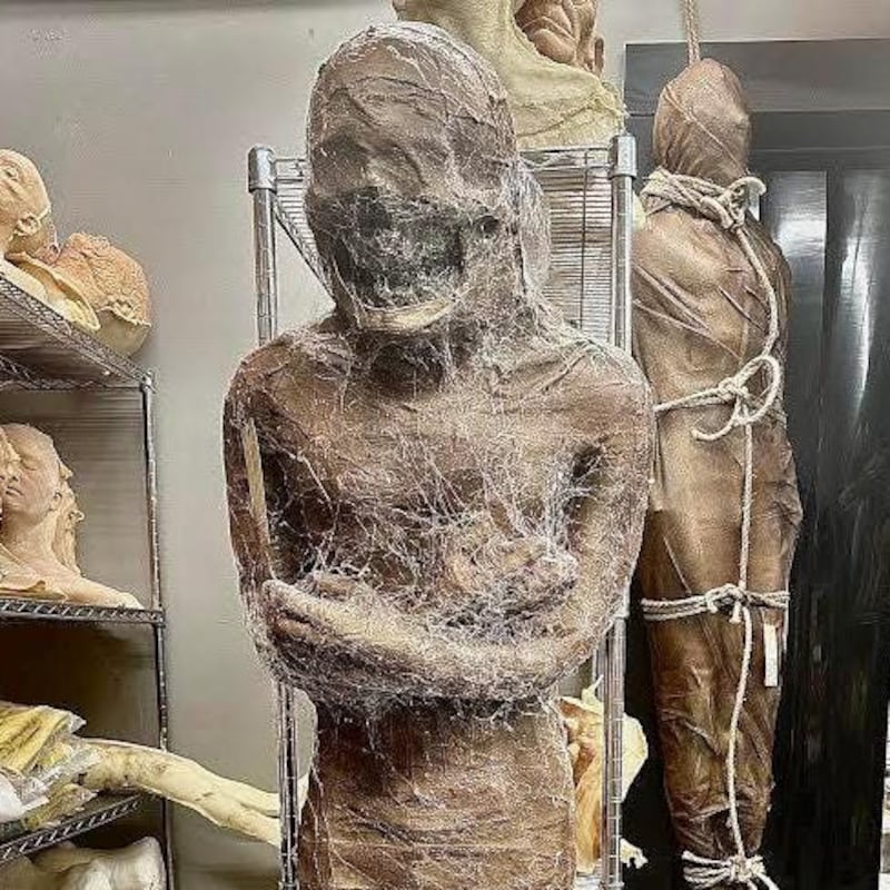 Mummification Wrap - Etsy