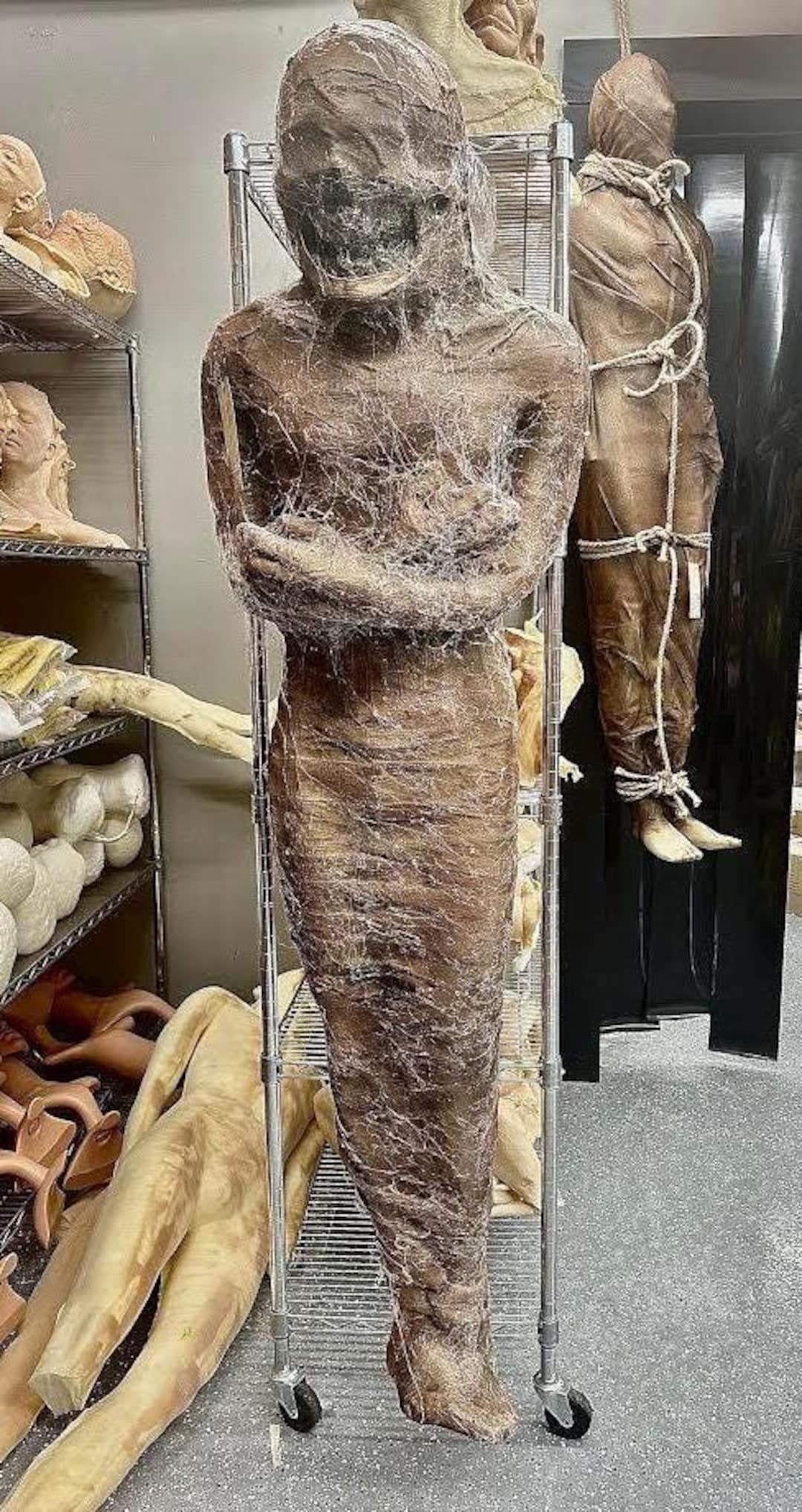 Mummified Corpse, Wrapped Skeleton, Spooky Dead Body - Etsy