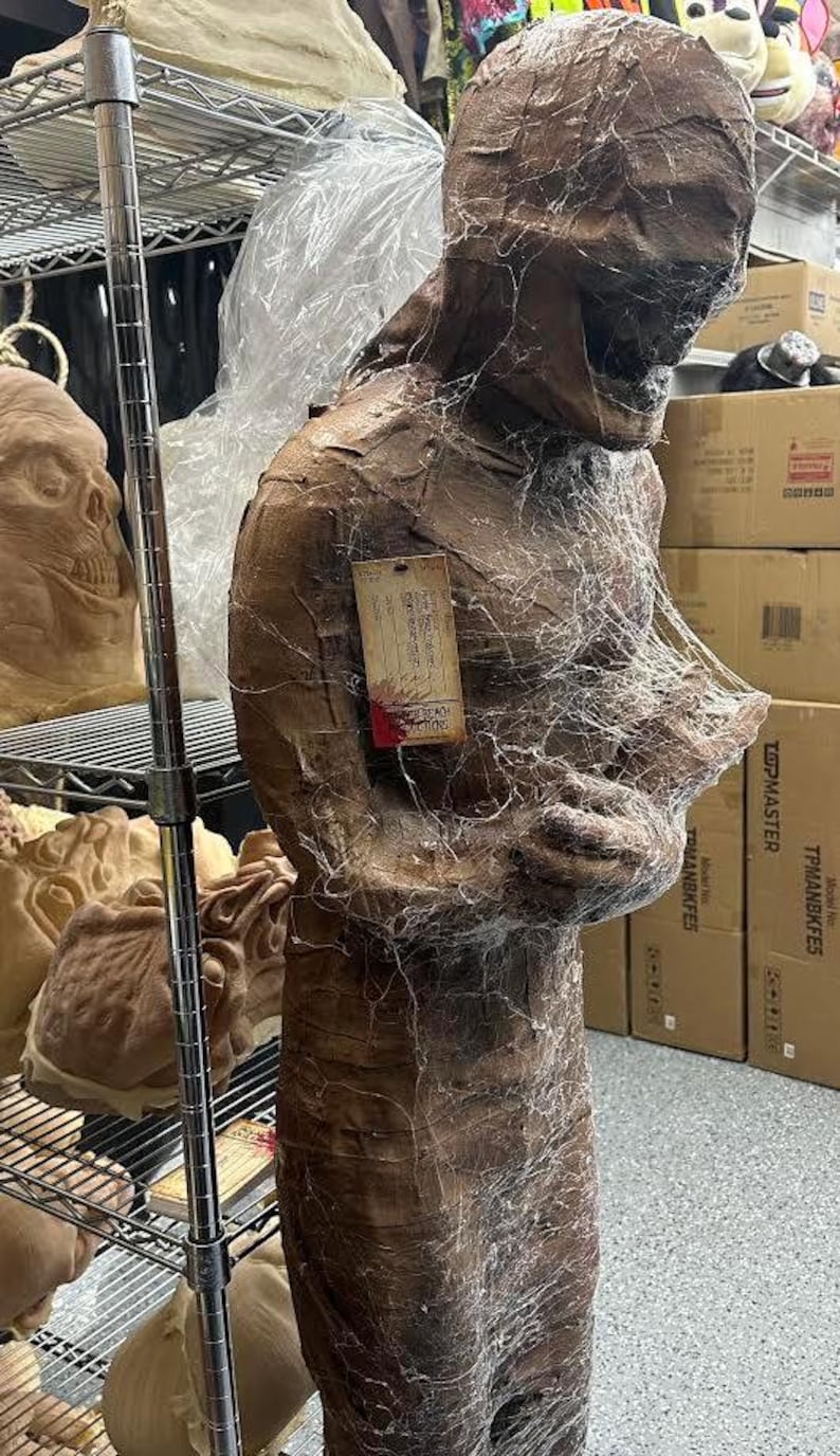 Mummified Corpse, Wrapped Skeleton, Spooky Dead Body - Etsy