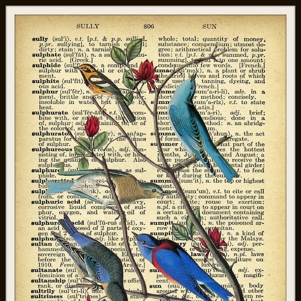 Bird Dictionary Art - Etsy
