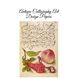 Antique Calligraphy Art Designs PDF Paper Pack to Print, 8.5 X 11" for ...
