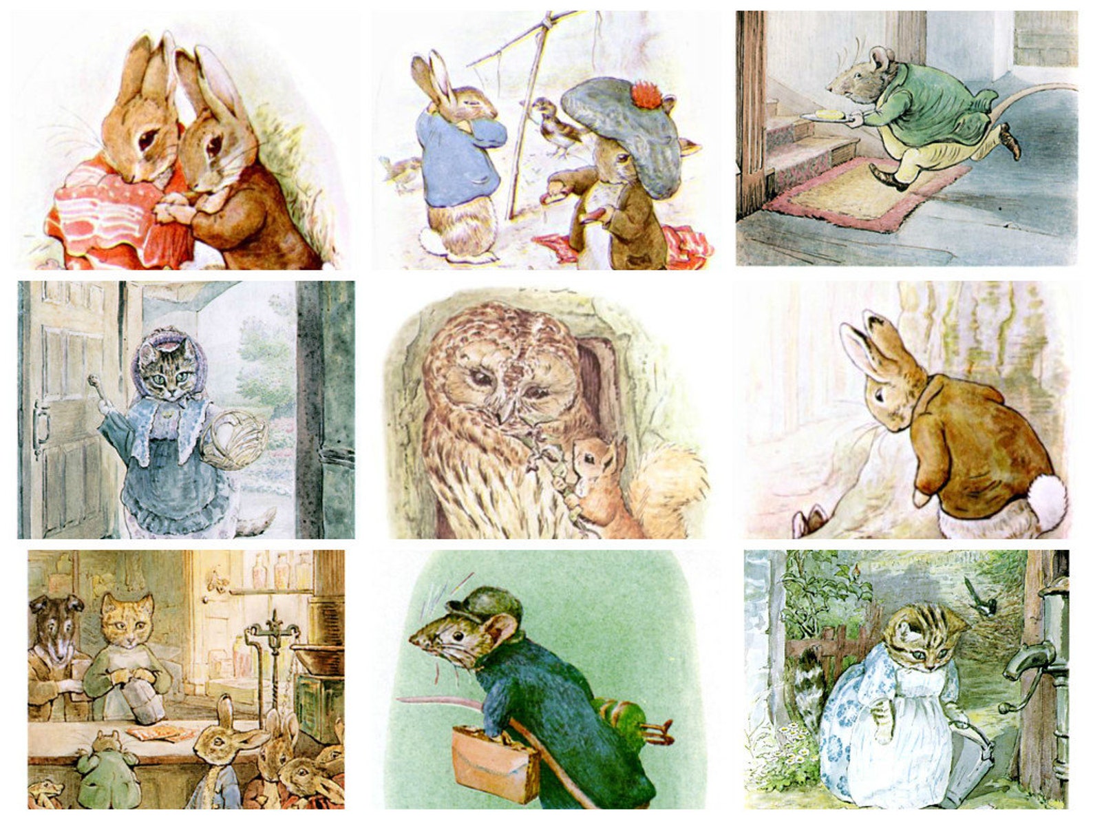 423 Beatrix Potter Images From Peter Rabbit, Squirrel Nutkin, Jemima ...