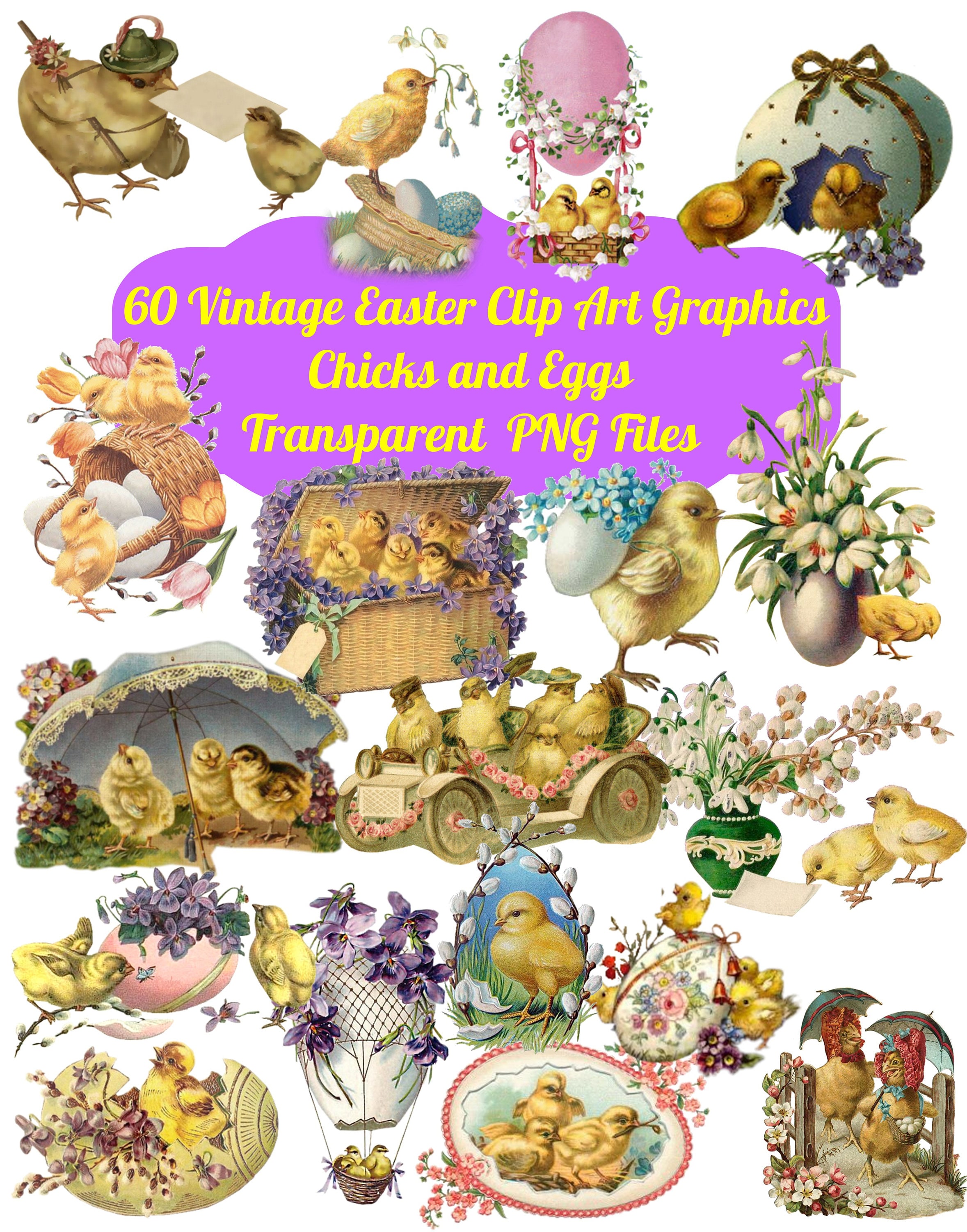 60 Easter Chicks and Eggs Images Clip Art Transparent PNG Files Instant ...
