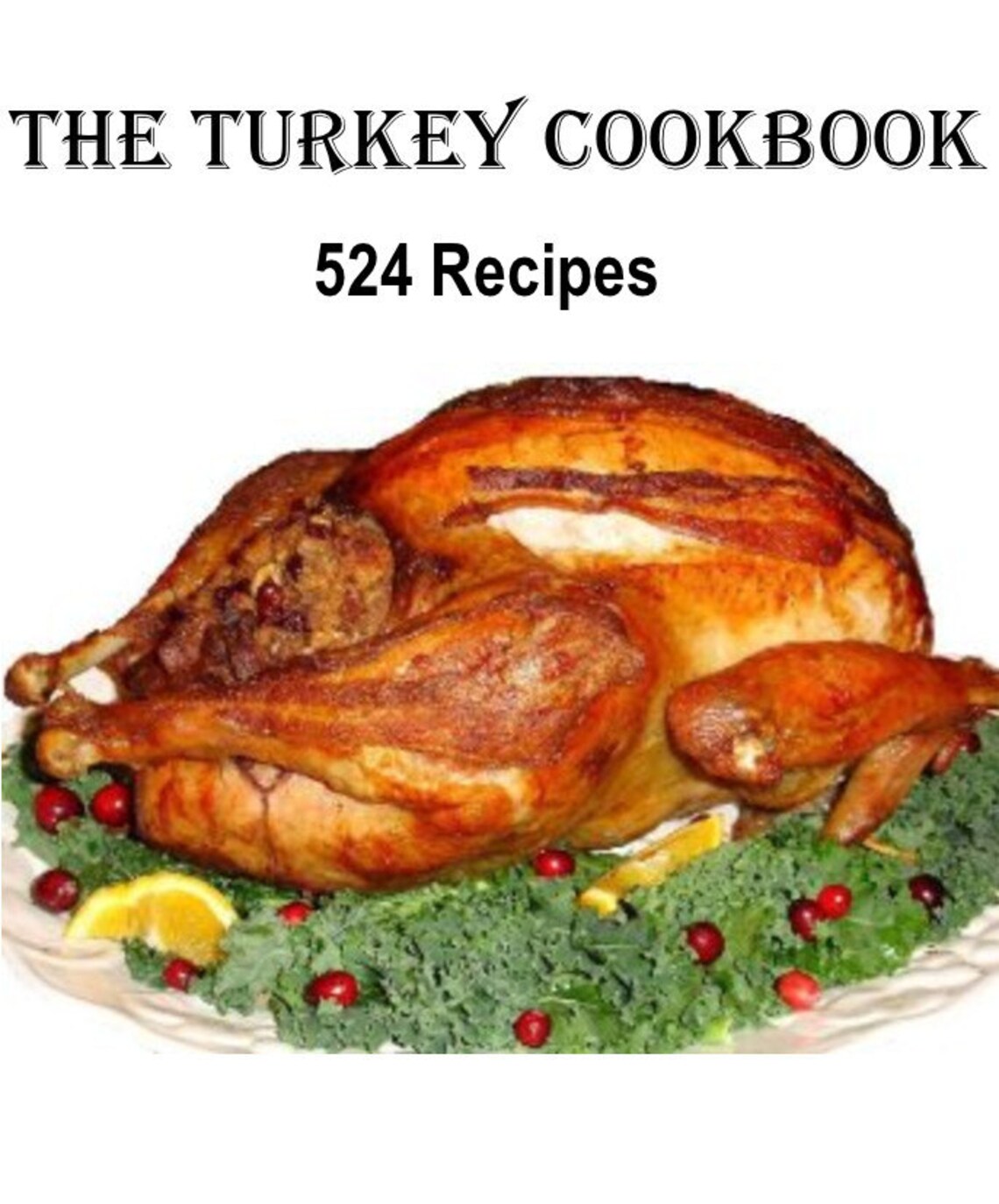 The Turkey Cookbook With 524 Recipes Instant Digital Download - Etsy