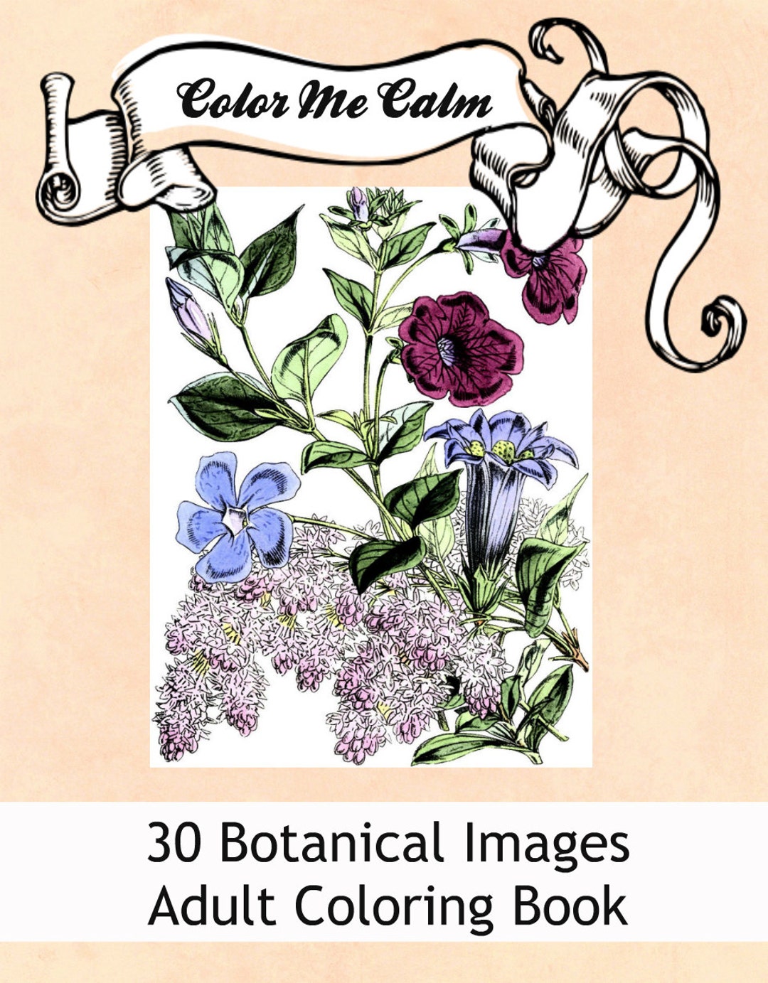 Color Me Calm 30 Botanical Floral Design Patterns Coloring Book for ...