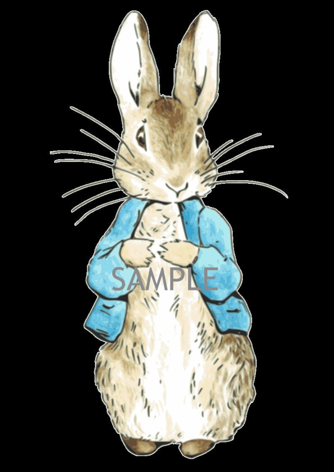 Peter Rabbit 8 X 10 Vector Graphic PNG Transparent File | Etsy