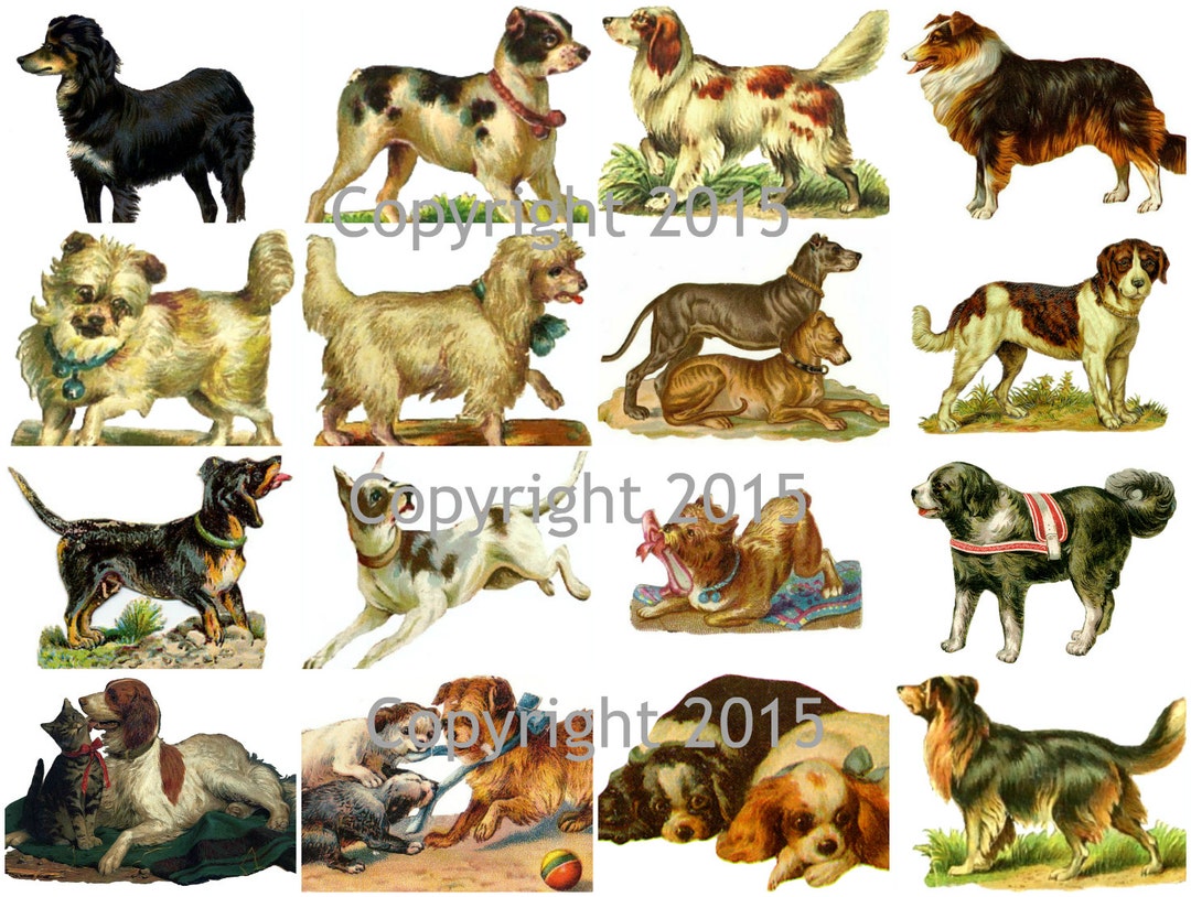 Collage Sheet Printable Vintage Victorian Dogs Instant Digital Download ...