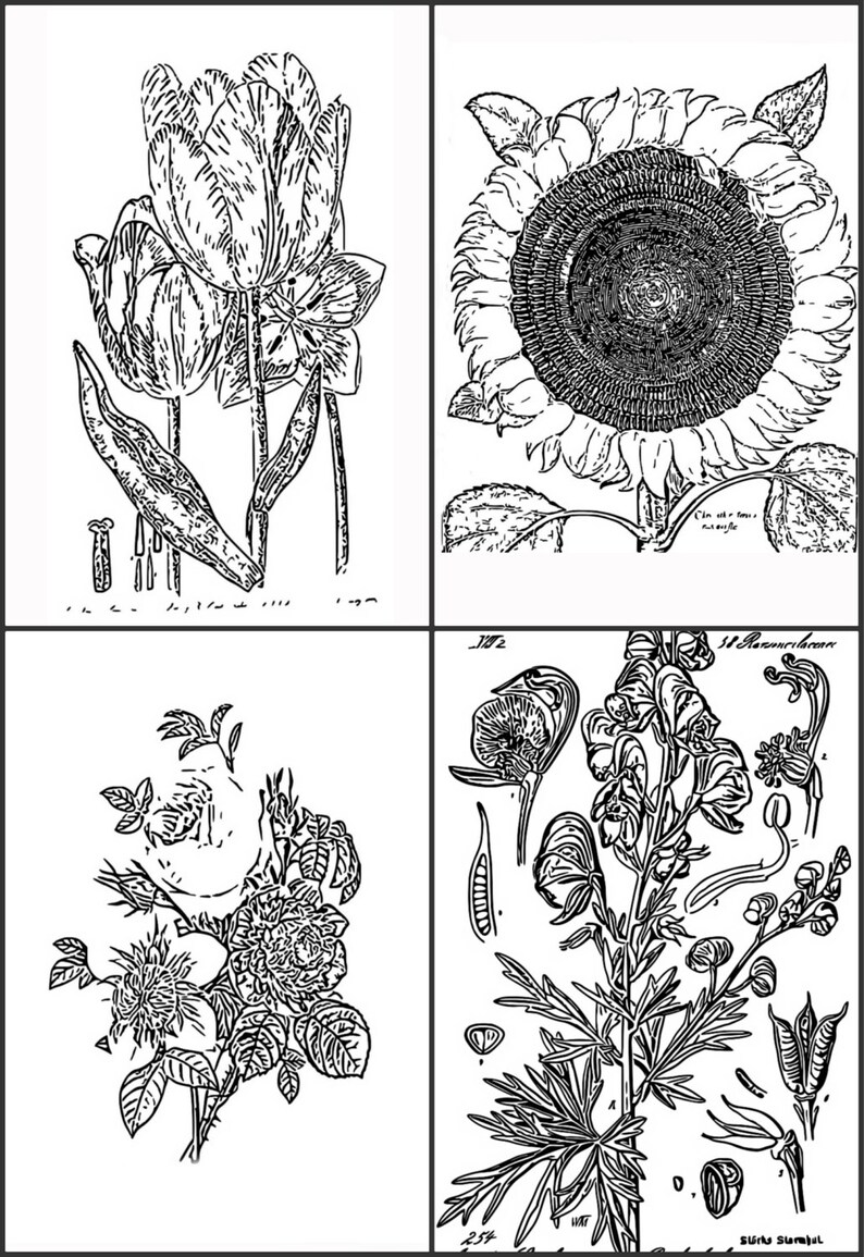 Color Me Calm 30 Botanical Floral Design Patterns Coloring - Etsy