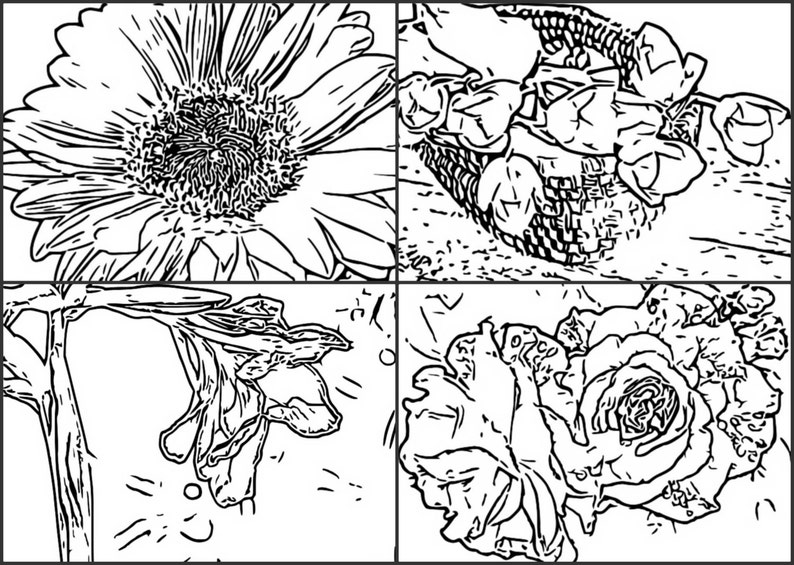 Color Me Calm 40 Beautiful Floral Patterns Coloring Book for - Etsy