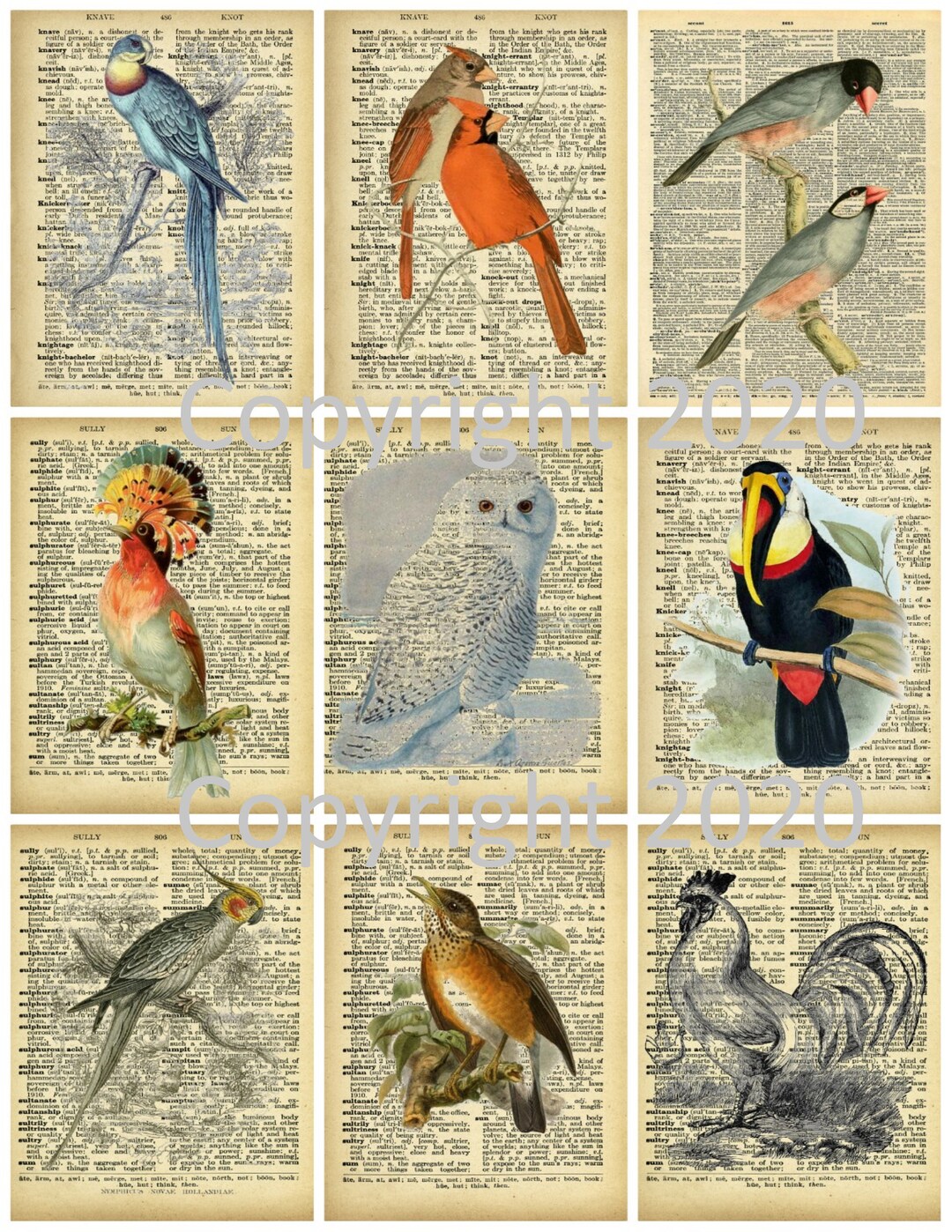 Printable Dictionary Pages Birds Collage 2, Journal Pages, Labels ...