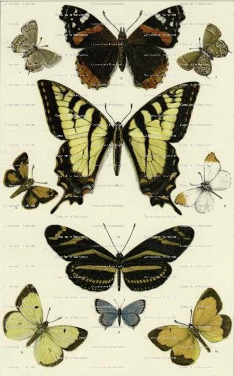 Mariposas Collage descarga Digital instantánea de hoja - Etsy España