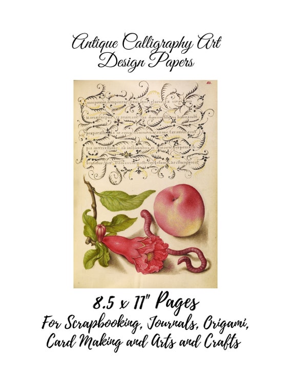 Antique Calligraphy Art Designs PDF Paper Pack to Print 8.5 X | Etsy