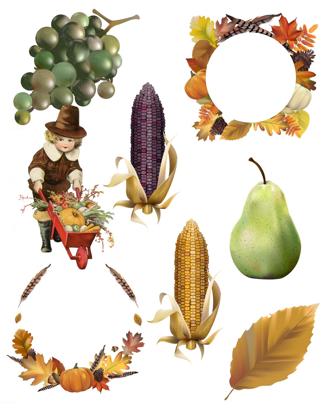 42 Assorted Thanksgiving Graphic Images Clip Art Transparent - Etsy