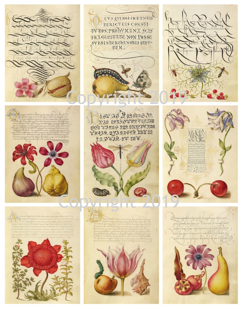 Vintage Book of Calligraphy Collage Sheet Instant Digital | Etsy