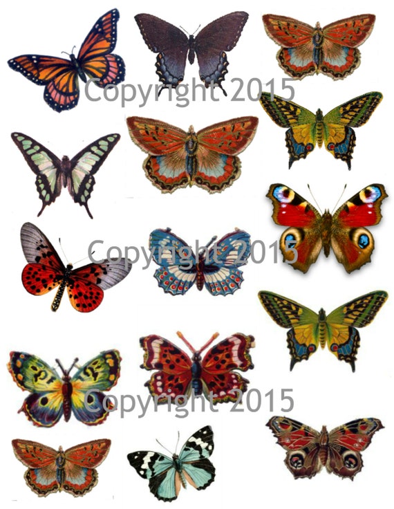 Printable Vintage Butterfly Collage Sheet Instant Digital | Etsy