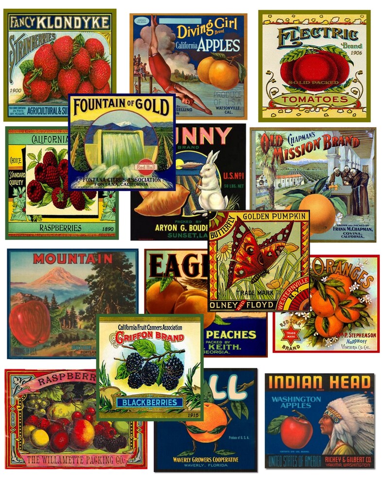 24 Vintage Canning Label Images Clip Art Transparent PNG Files - Etsy