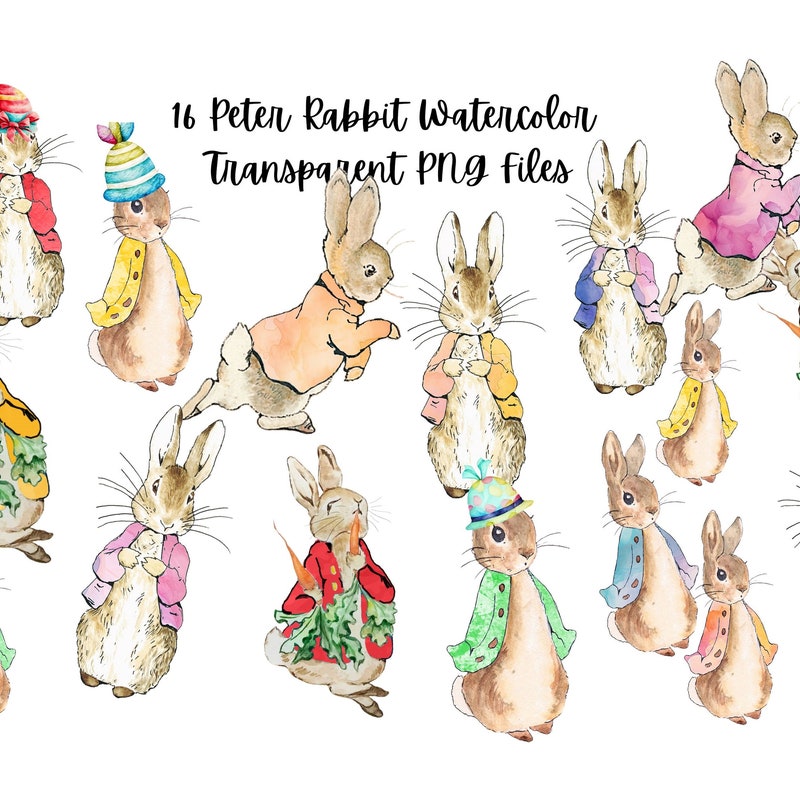 Peter Rabbit Png - Etsy