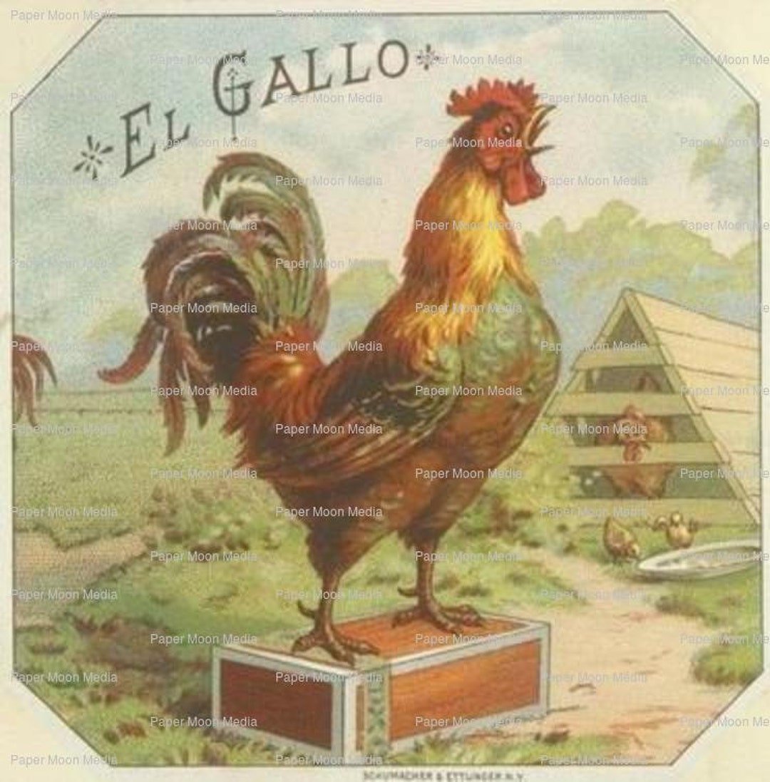 Large Vintage Digital Cigar Box Lid Rooster Art Print Instant Download ...