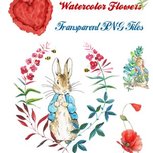 24 Peter Rabbit and Poppy Flowers Clip Art Transparent PNG Files ...