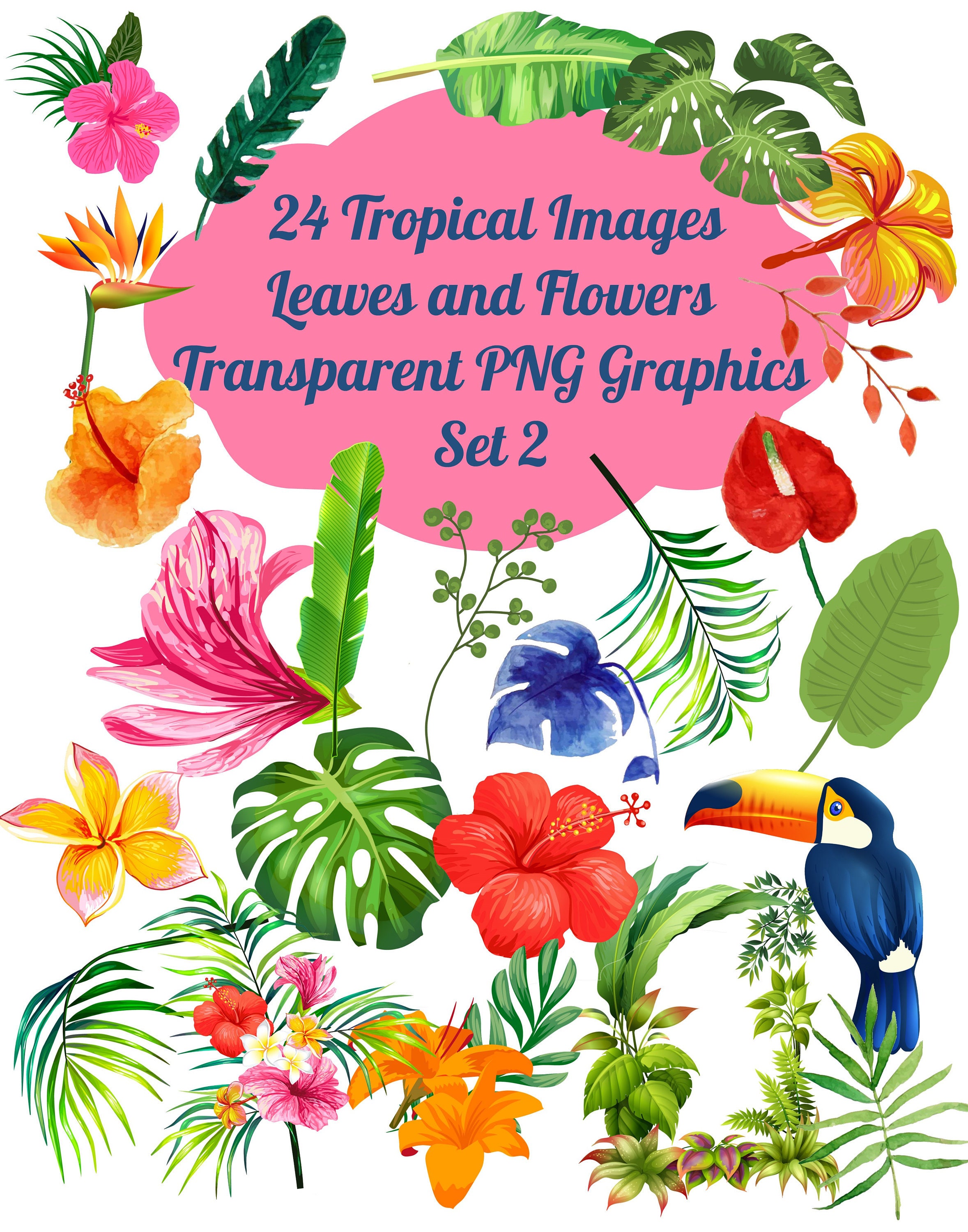 24 Tropical Flowers and Leaves Images Clip Art Transparent PNG Files ...