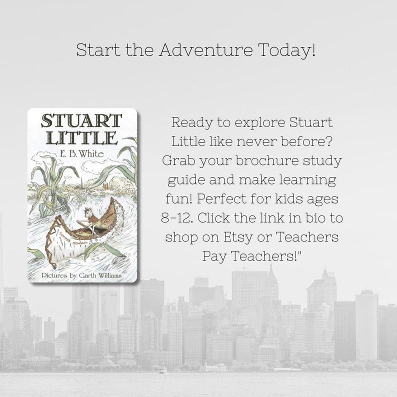 Stuart Little Literature Brochure - Etsy