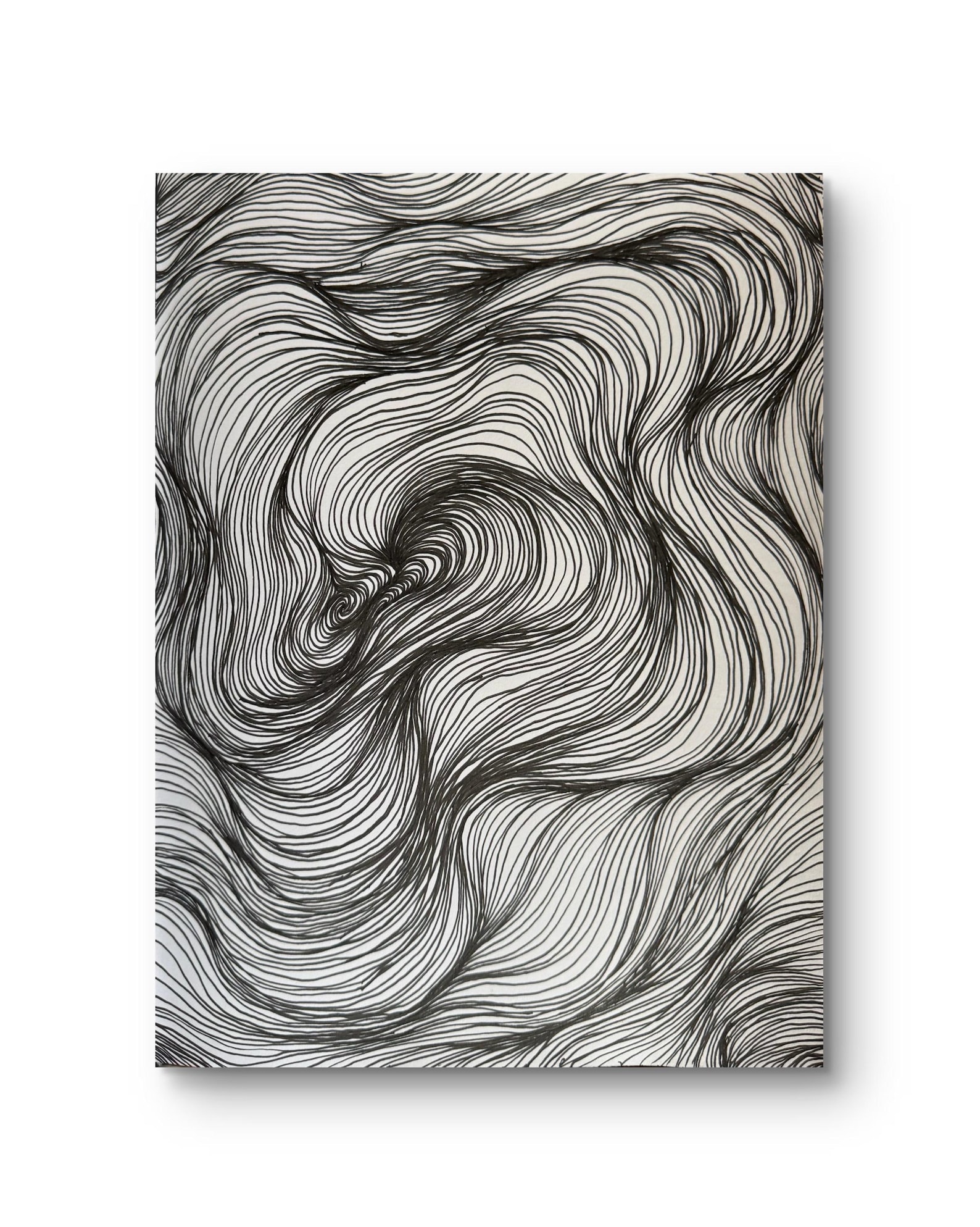 Blooming | Art | Ink Drawing | Wall Decor | Line Drawing | Original Art ...