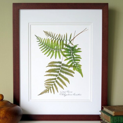 Pressed Fern Art Print 11x14 Double Matted Southern - Etsy