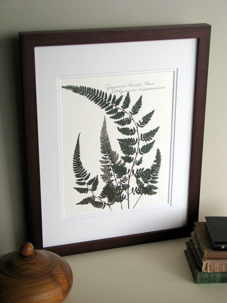 Pressed Fern Print 11x14 Double Matted Japanese Painted Fern - Etsy