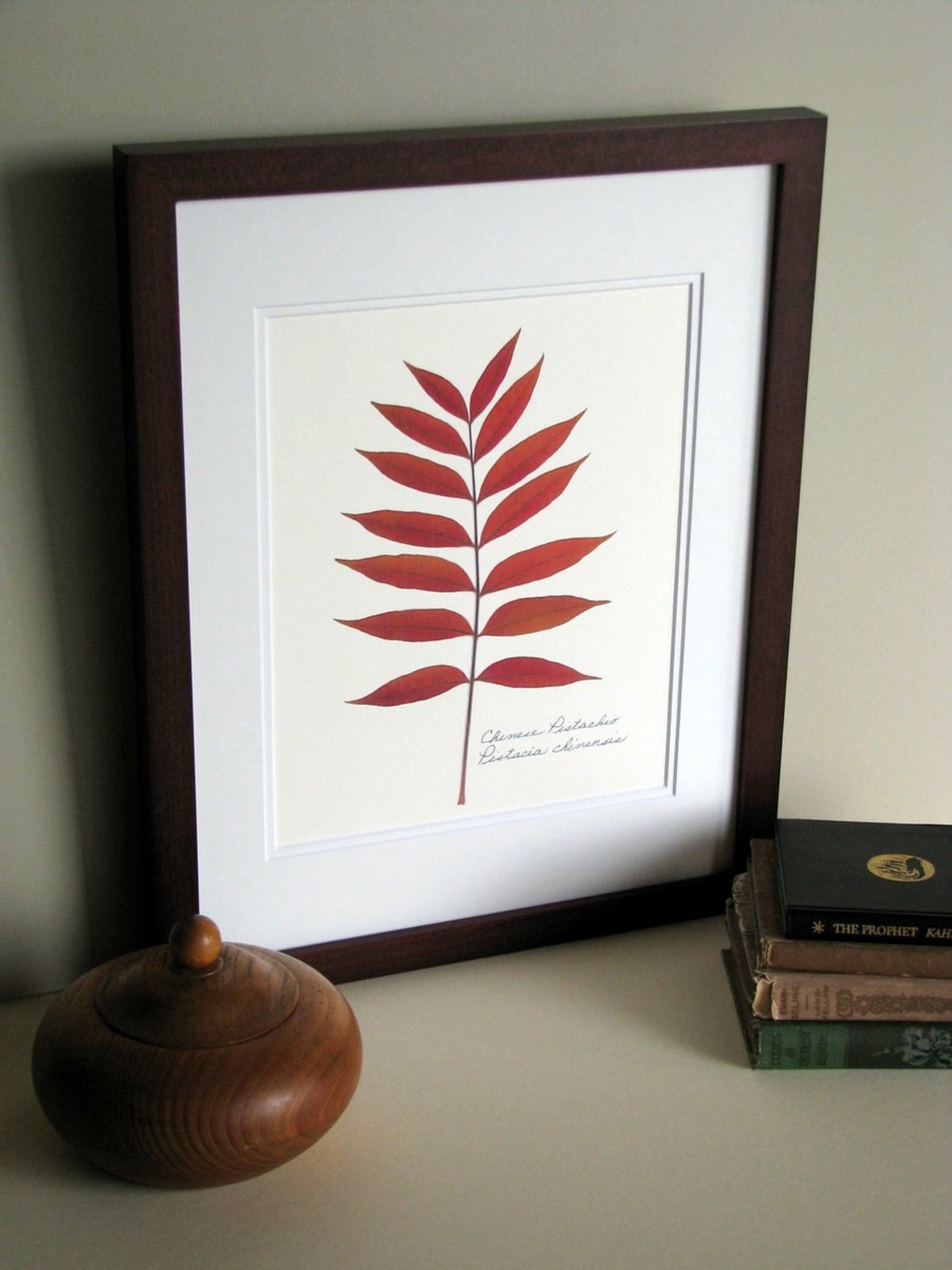 Pressed Leaf Art Print 11x14 Double Matted Chinese Pistachio - Etsy