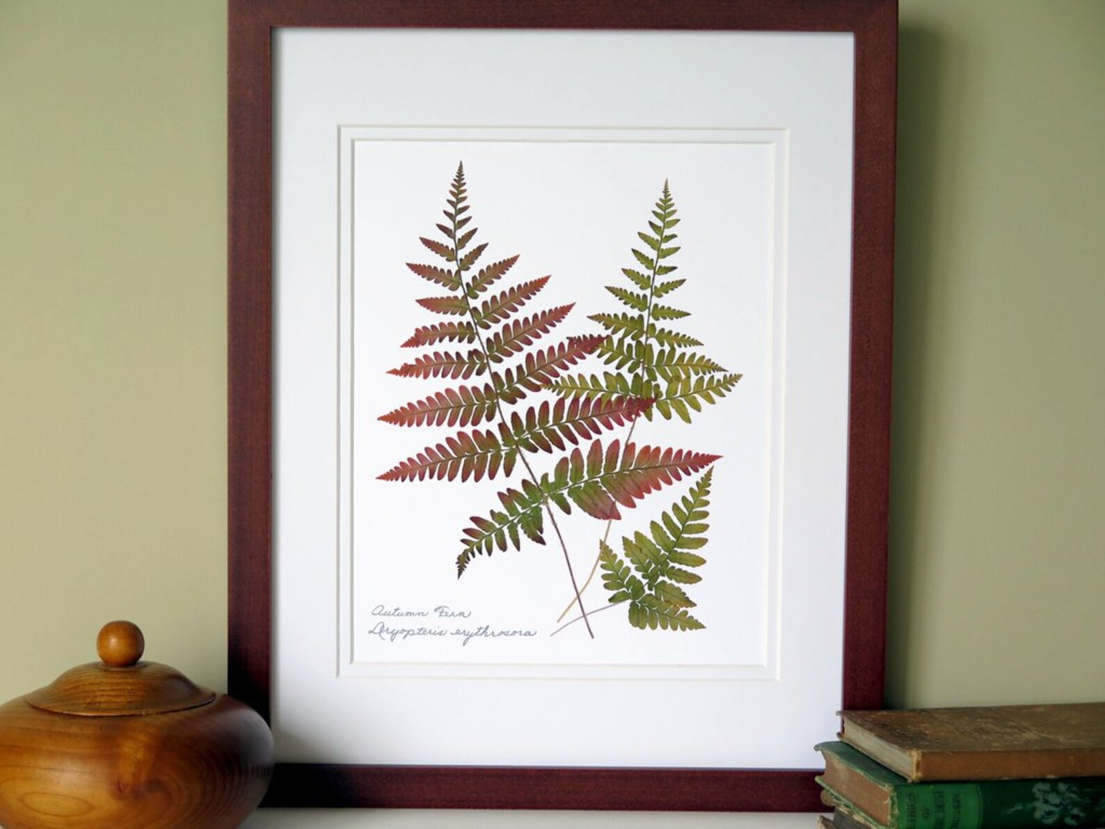 Pressed Fern Print 11x14 Double Matted Autumn Fern Botanical - Etsy