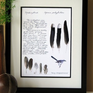 Feather Art Print, Mockingbird Art, Feather Art, Modern, Mockingbird ...