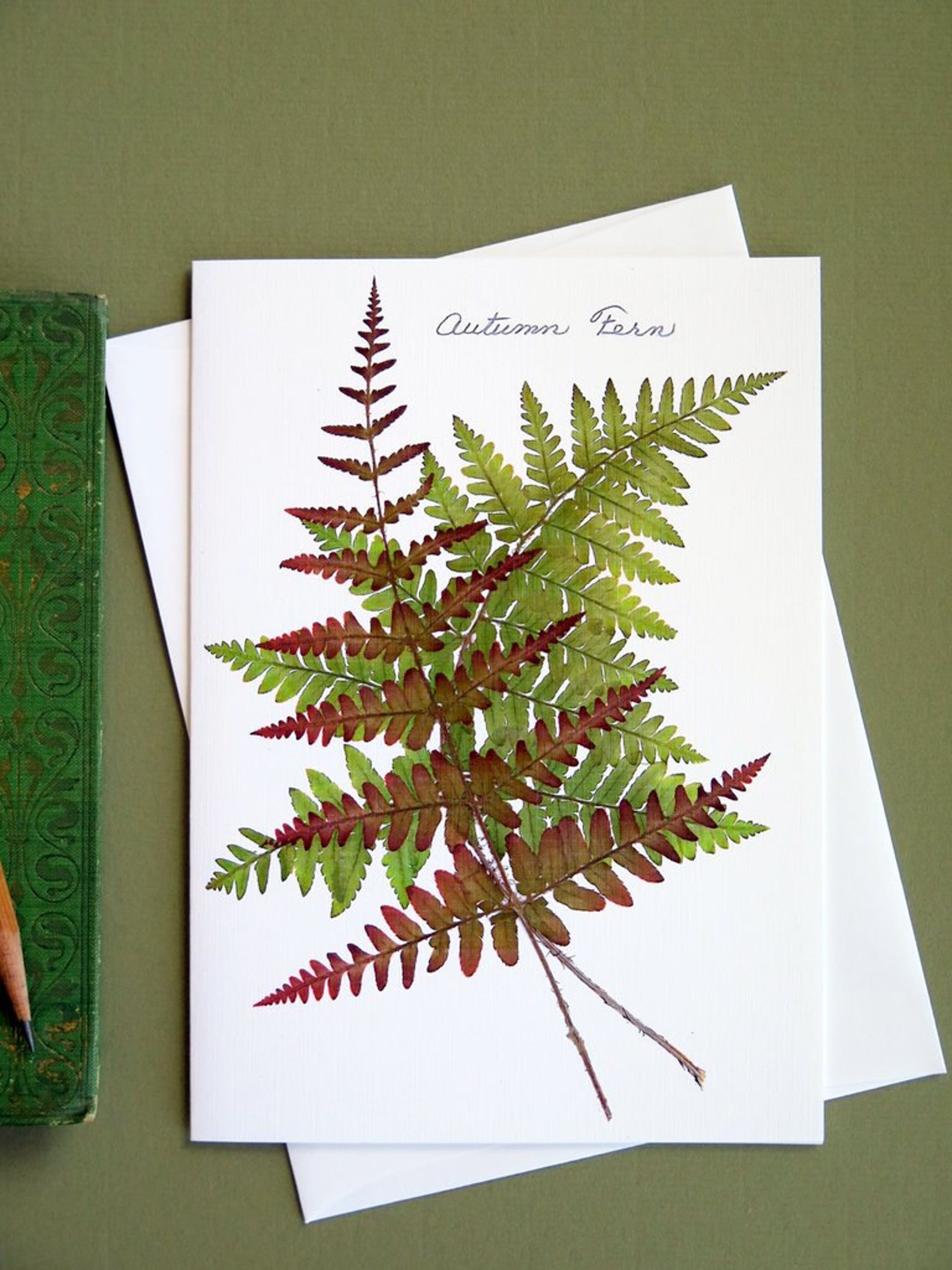 Autumn Fern Pressed Ferns Card Fall Greeting Card Rust and | Etsy