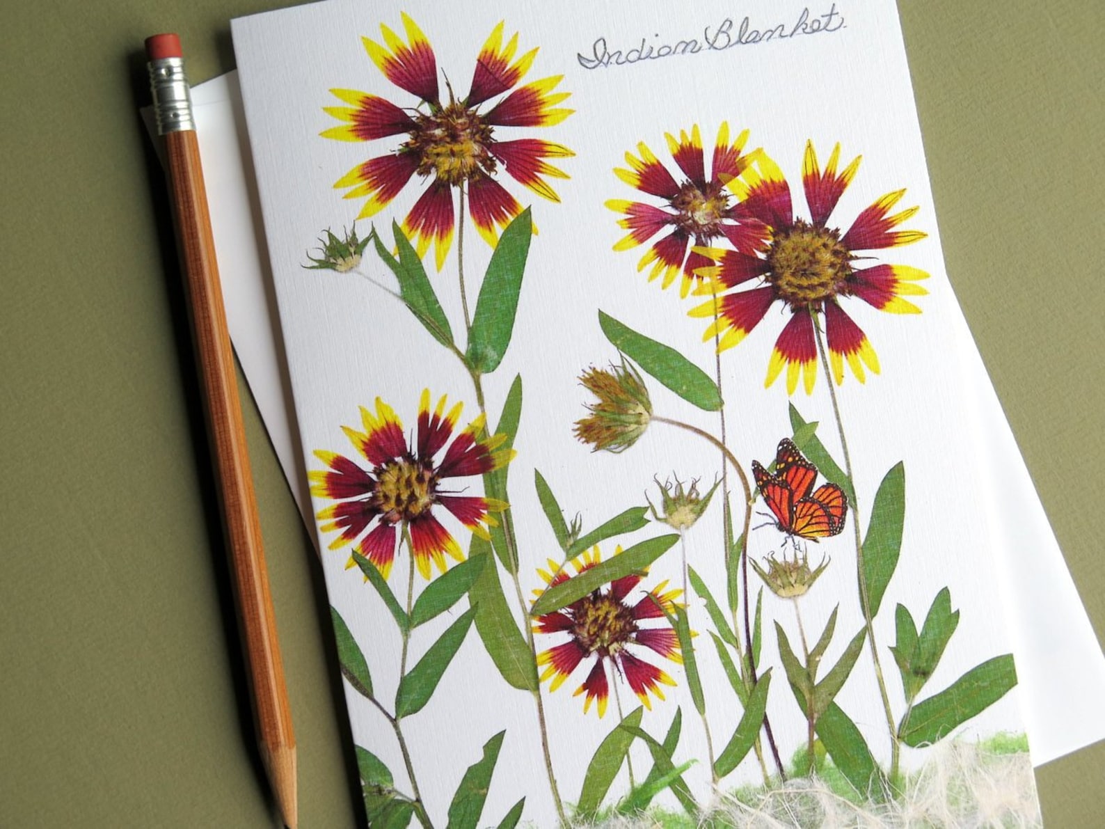 Indian Blanket Wildflowers Dried and Pressed Flowers Art | Etsy