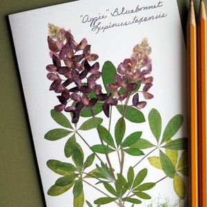 Aggie Maroon Bluebonnet Texas Aggies Texas A&M College - Etsy