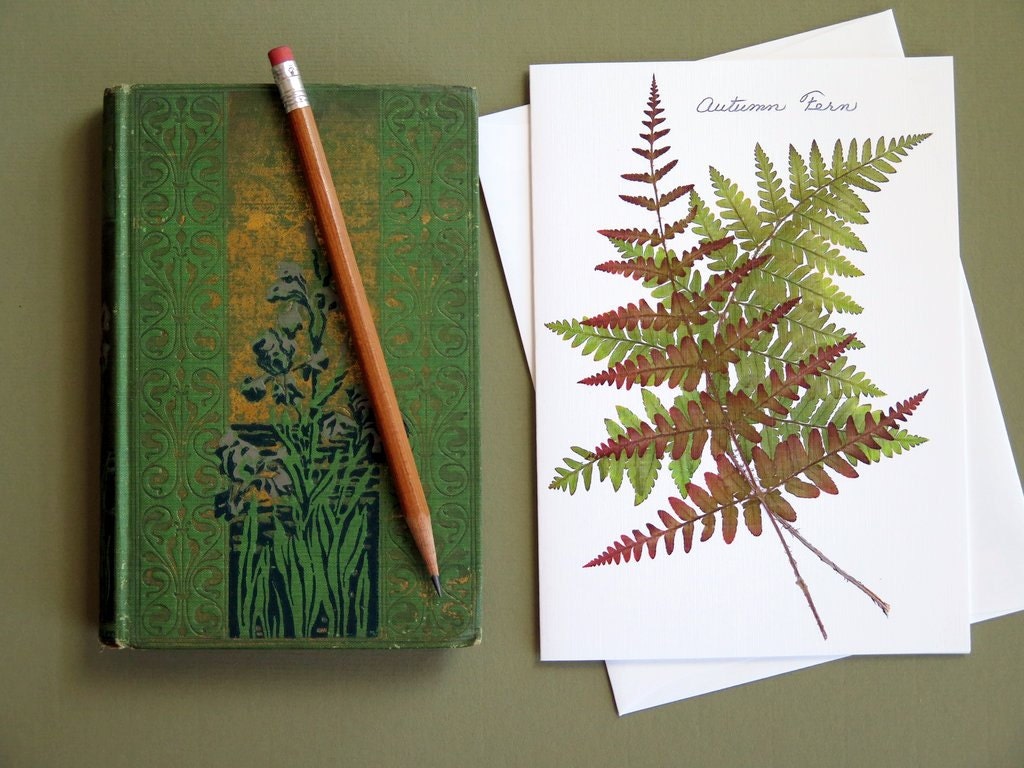 Autumn Fern, Pressed Ferns Card, Fall Greeting Card, Rust and Green ...