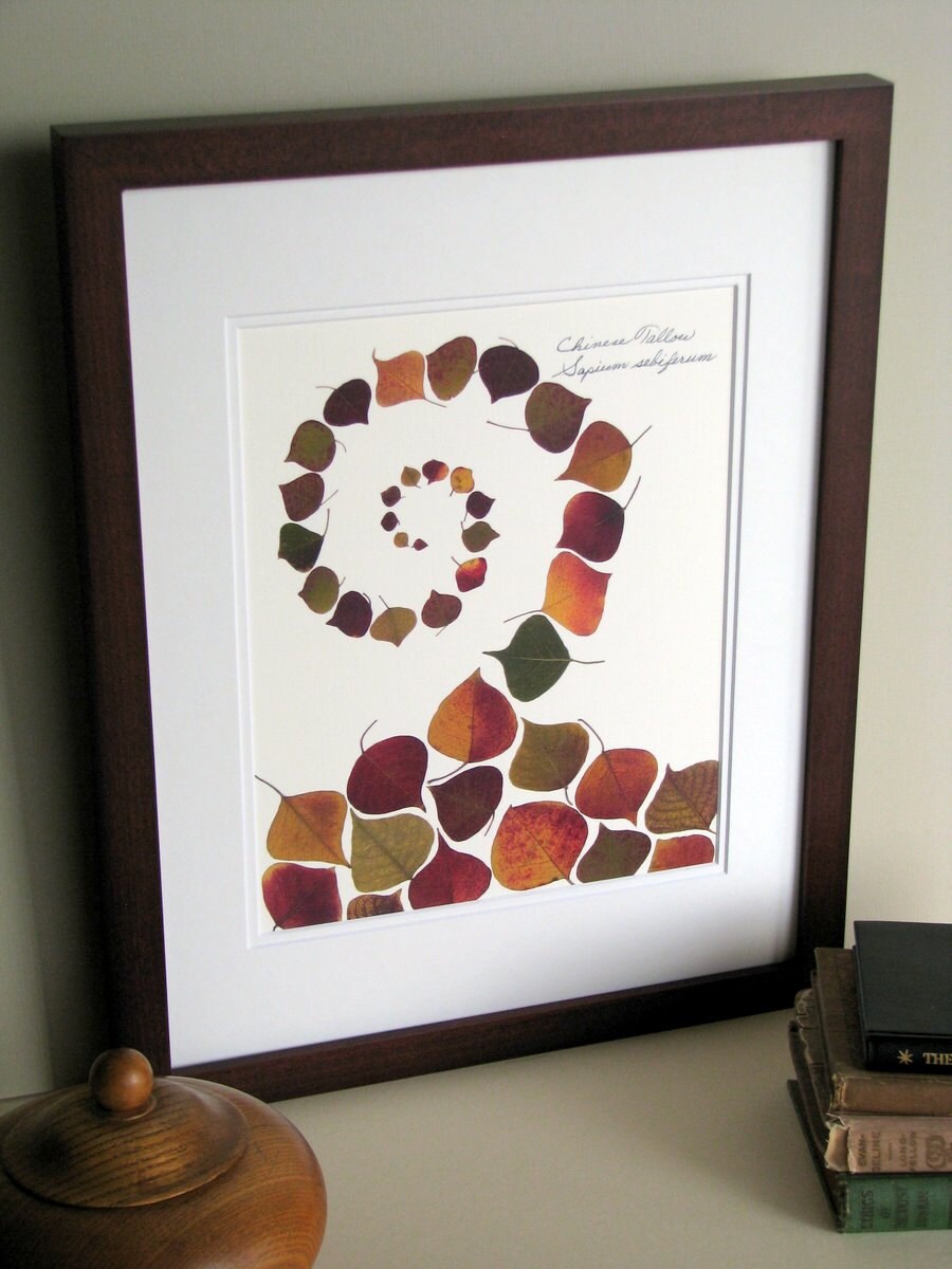 Pressed Leaves Print 11x14 Double Matted Chinese Tallow - Etsy