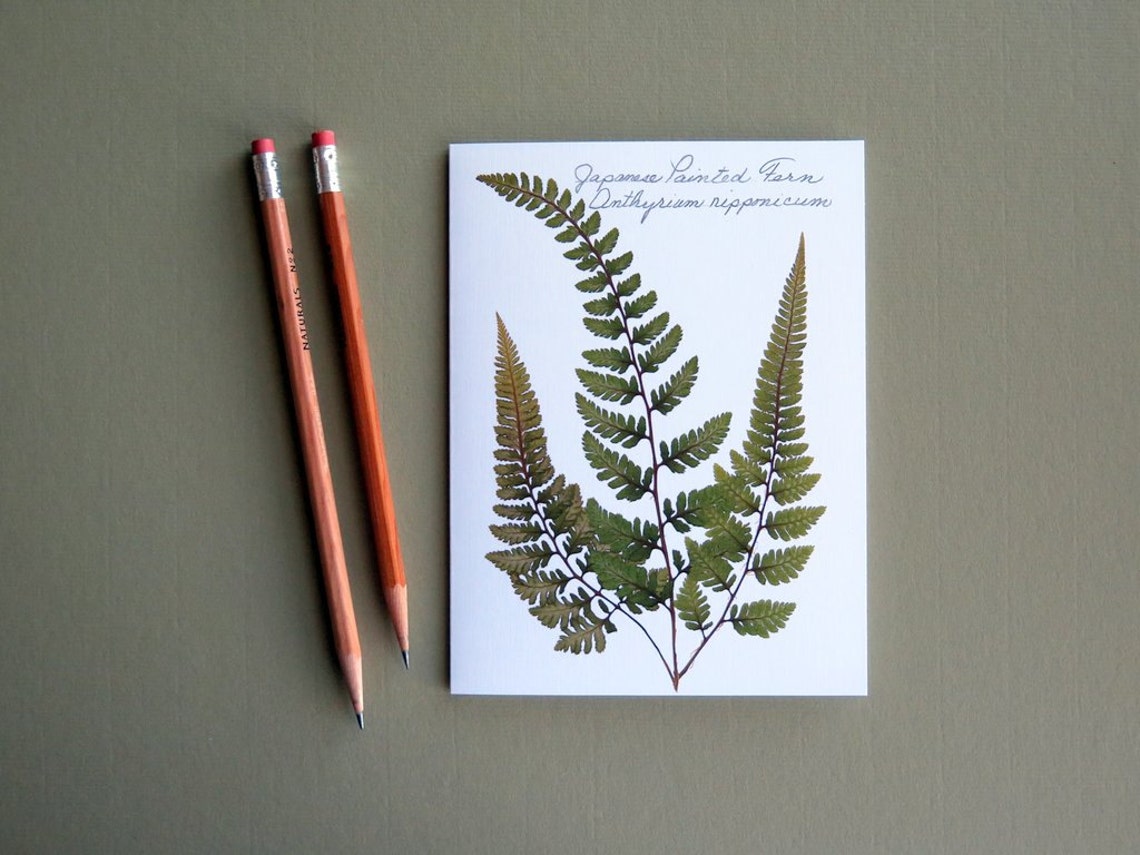 Pressed Fern Card Japanese Painted Fern Note Card Nature | Etsy