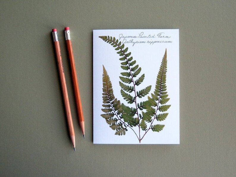 Pressed Fern Card Japanese Painted Fern Note Card Nature | Etsy