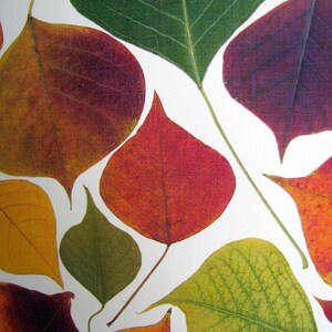 Pressed Leaf Print, 11x14 Double Matted, Chinese Tallow Leaves, Nature Art, Limited Edition ...