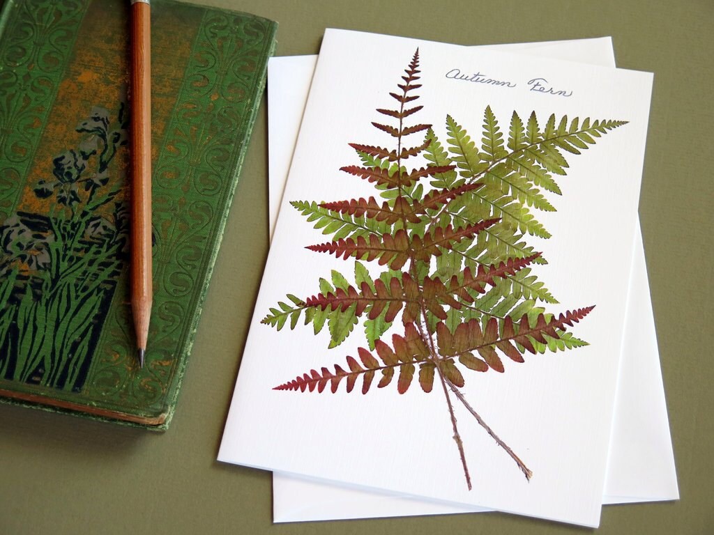 Autumn Fern Pressed Ferns Card Fall Greeting Card Rust and | Etsy