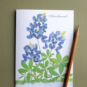 Bluebonnet Wildflowers, Pressed Bluebonnet Flowers, Botanical Greeting ...