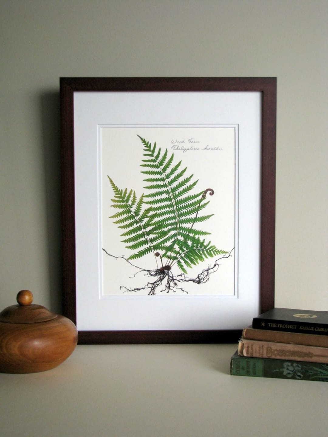 Pressed Fern Print, 11x14 Double Matted, Wood Fern Study With Roots ...